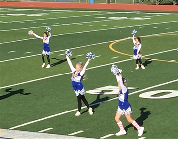 Hollidaysburg Area Youth Football Association (Hayfa) > Home